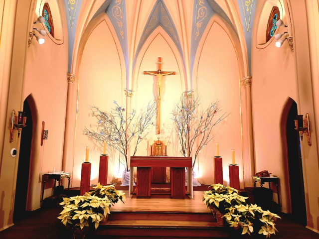 Photo Gallery – St Joseph Dyer